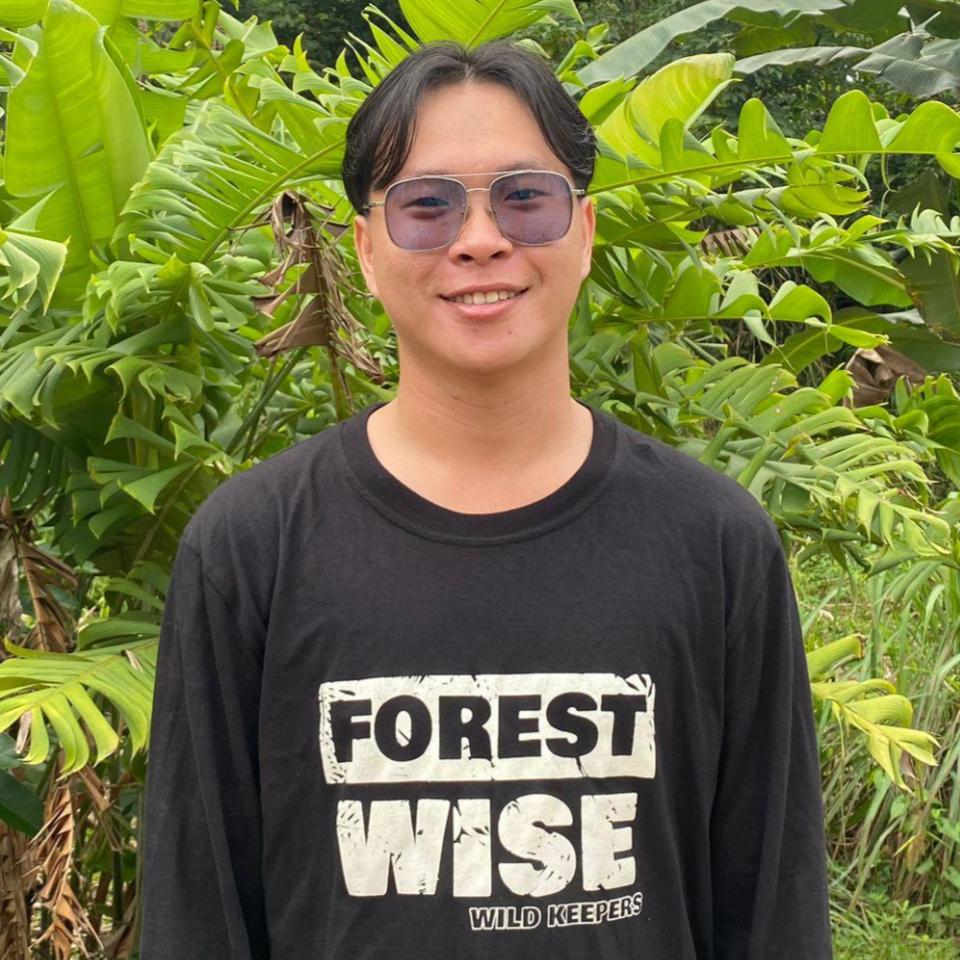 Forestwise - About us